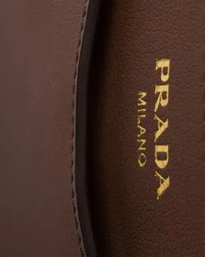 Prada Prelude Medium Leather Handbag