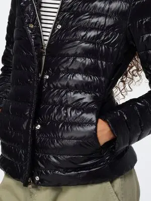 Herno Quilted Jacket With Stand Collar