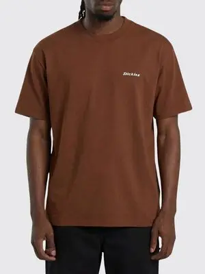 Dickies T-shirt - Brown