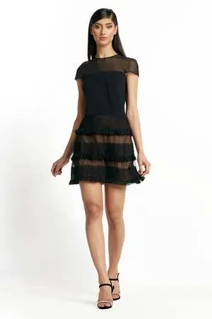 Tadashi Shoji Steffy Skater Mini Dress - Black/nude