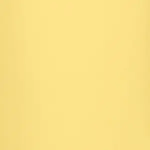STANLEY Quencher H2.0 Flowstate Tumbler