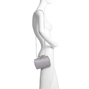 Badgley Mischka Cassia Crystal Minaudiere