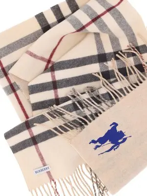 Burberry Reversible Scarf