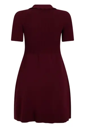 Philosophy Di Lorenzo Serafini Ribbed Knit Polo Dress