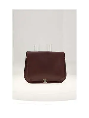 Celine Besace Soft Triomphe Bag - Multicolor