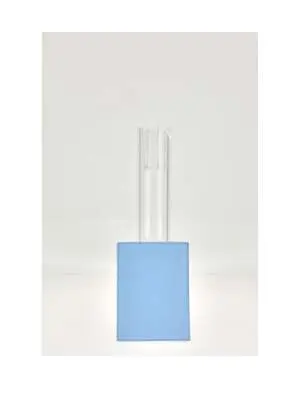 Celine Passport Cover