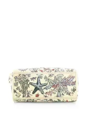 Dior Lady D-lite Bag Embroidered Raffia Medium Satchel - Neutrals