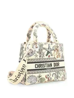 Dior Lady D-lite Bag Embroidered Raffia Medium Satchel - Neutrals