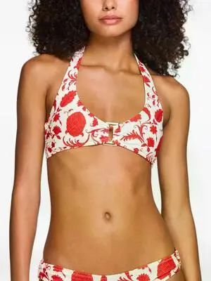 Heidi Klein Evia Floral-print Seersucker Halterneck Bikini Top