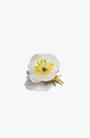 HELENA SIMON Poppy Floral Brooch