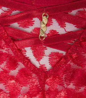AUBADE Crazy In Love Briefs