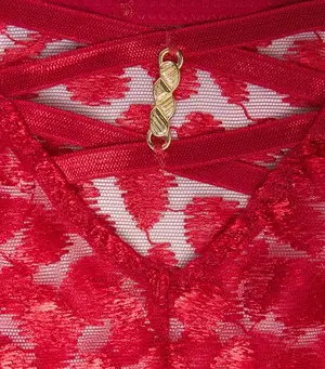 AUBADE Crazy In Love Briefs