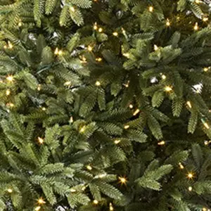 BALSAM HILL Norway Spruce Led Christmas Tree