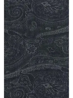 Etro Paisley Scarf