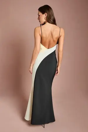 Coast Color Block Maxi Dress