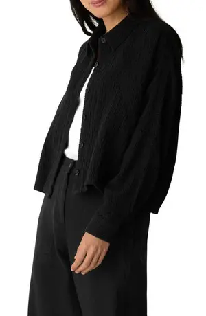 Eileen Fisher Classic Collar Cropped Jacket