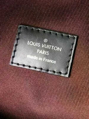 LOUIS VUITTON Josh Macassar Monogram Canvas Backpack