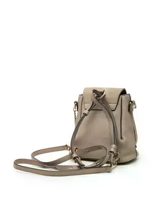 Chloé 2017 Mini Calfskin And Suede Faye Backpack