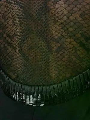 Roberto Cavalli Back Lace Panel Dress