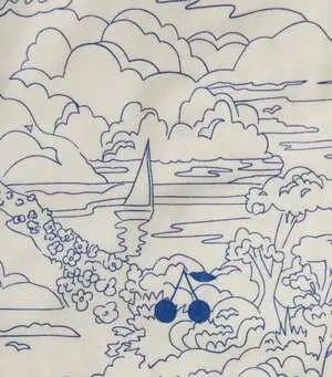 Bonpoint Health Book Cover