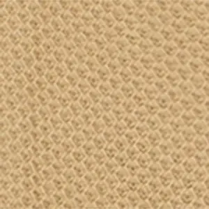 Bonpoint Cotton Embroidered Hoodie