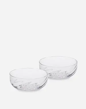 Dolce & Gabbana Set 2 Coppe Gelato - Multicolor