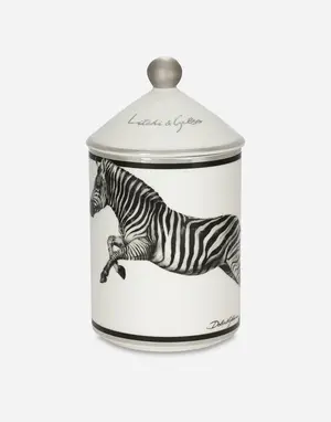 Dolce & Gabbana Porcelain Scented Candle – Lychee And Mulberry - Multicolor
