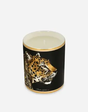 Dolce & Gabbana Porcelain Scented Candle – Patchouli