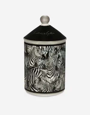 Dolce & Gabbana Porcelain Scented Candle – Lychee And Mulberry - Multicolor