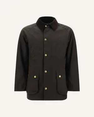 Barbour Ashby Jacket Ale