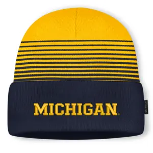 JORDAN Michigan Sideline Utility Brand College Cuffed Beanie - Blue