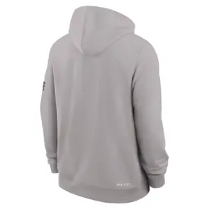 Nike Ohio State Sideline Standard Issue Pullover Hoodie - Grey