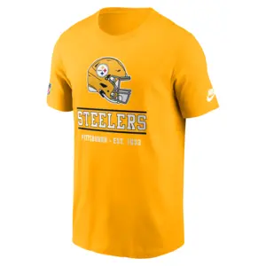 Nike Pittsburgh Steelers Essential Dri-fit Nfl Long-sleeve T-shirt - Brown