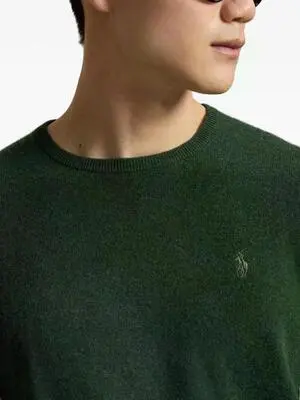 Polo Ralph Lauren Pony Embroidered Sweater