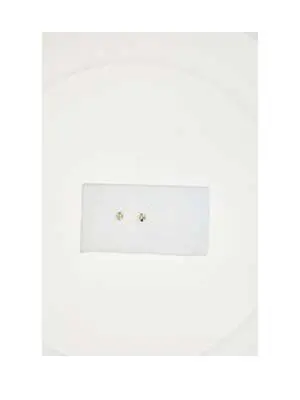 Dior Lady Spark Earrings