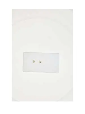 Dior Lady Spark Earrings