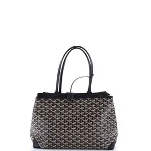 Goyard Bellechasse Bag Coated Canvas Pm