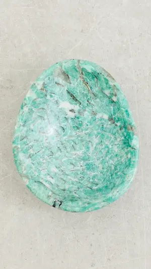 Jia Jia Polished Dish