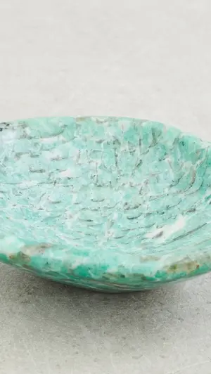Jia Jia Polished Dish
