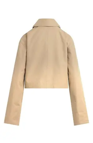 FAVORITE DAUGHTER The Rue Cropped Trench
