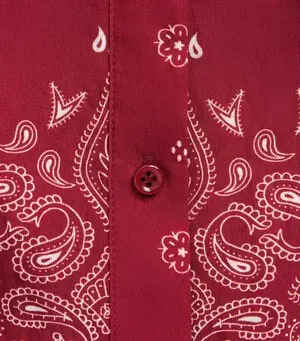 Devon Windsor Bandana Print Cropped Rosie Shirt