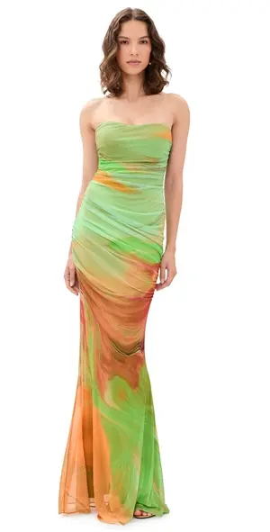 Retrofete Isadore Mesh Maxi Dress