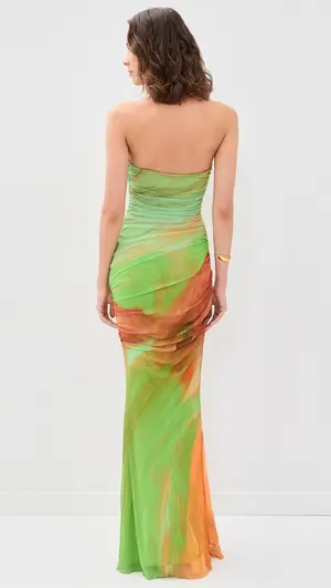 Retrofete Isadore Mesh Maxi Dress
