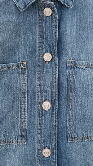 Z Supply Erin Denim Jacket