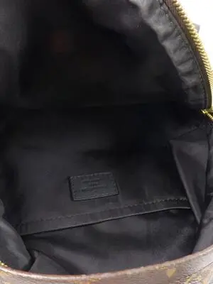 LOUIS VUITTON Pm Palm Springs Monogram-pattern Backpack