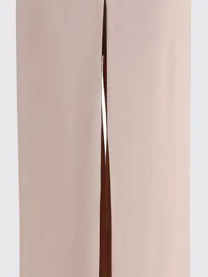 DI STAVNITSER Wide Leg Pants With Slits