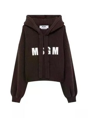 MSGM Logo-print Hoodie - Brown