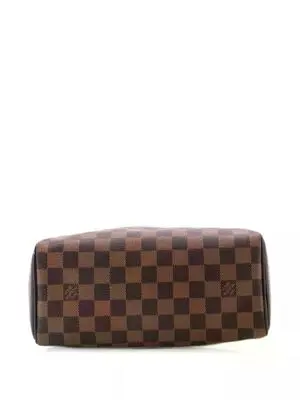 LOUIS VUITTON Brera Handbag Damier Satchel