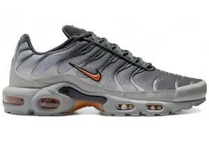 Nike Air Max Plus Light Smoke Grey Hot Curry - Multicolor