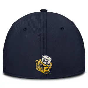 Nike Michigan Legacy Dri-fit College Hat